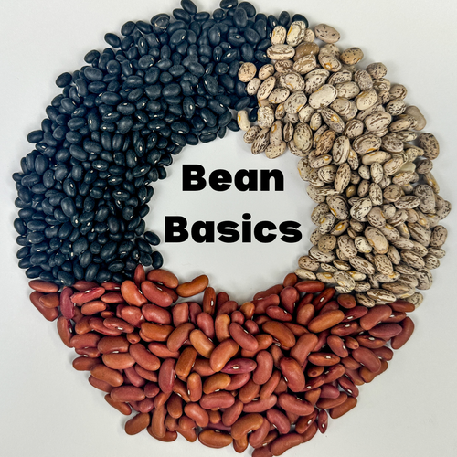 Bean Basics – Palouse Brand