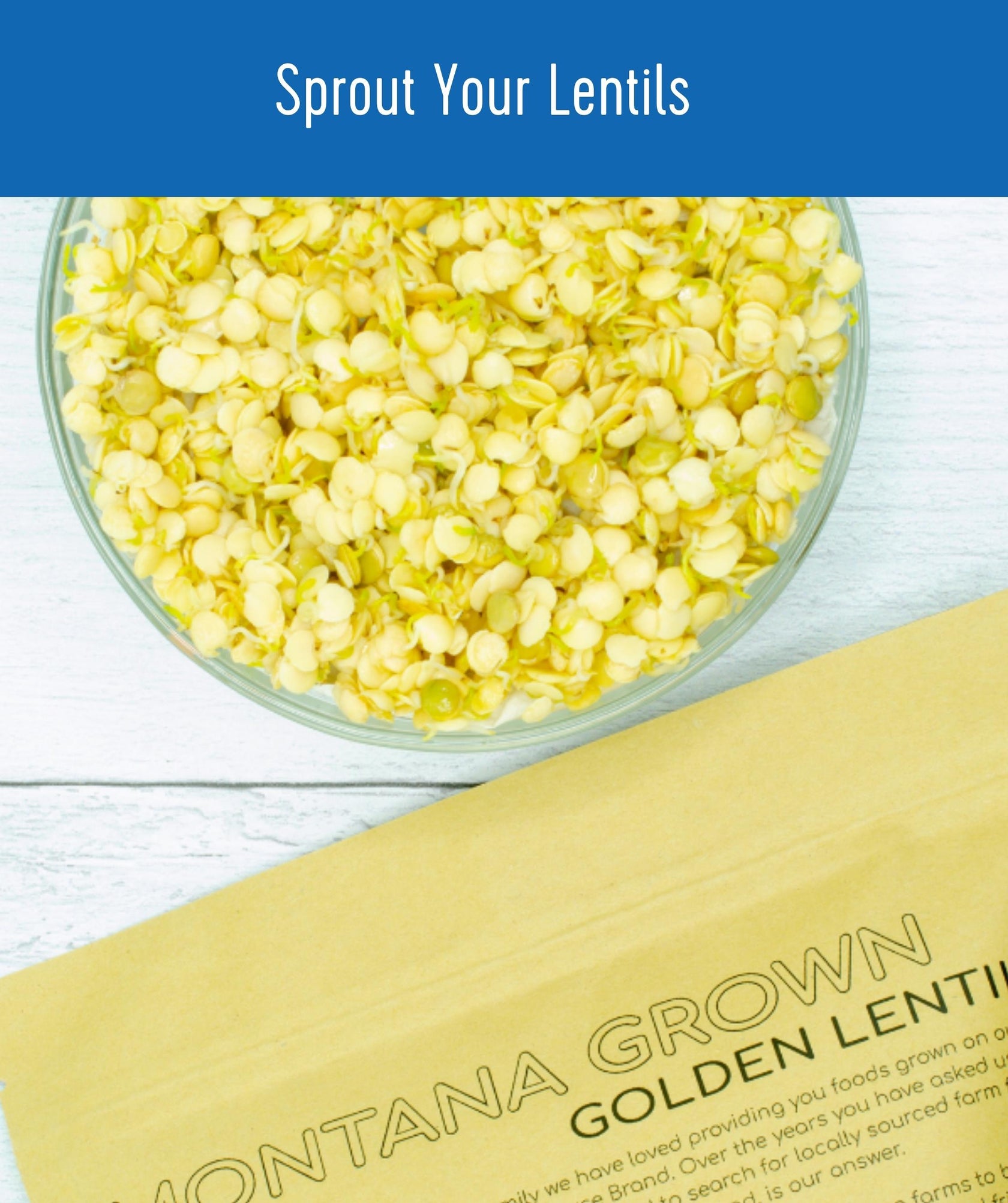 Certified Glyphosate Residue Free| Yellow Lentils | 25 LB Bucket ...