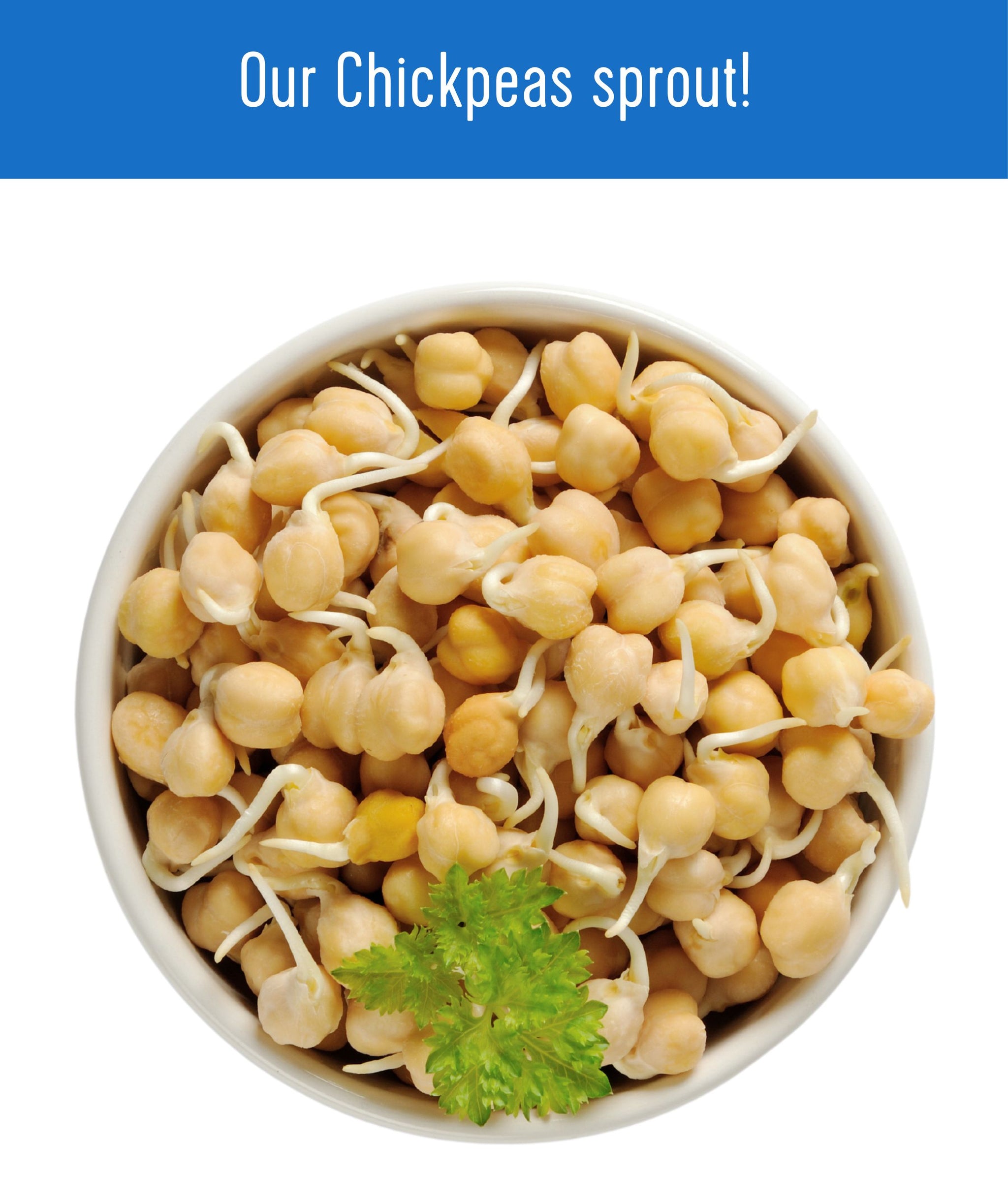 Certified Glyphosate Residue Free |Chickpeas | 18 LB – Palouse Brand