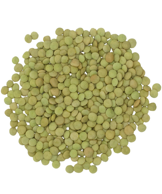 Green Lentils | Pacific Northwest Grown | 25 LBS – Palouse Brand