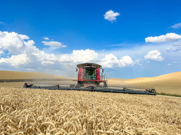 Palouse Brand and Clear Creek Foods