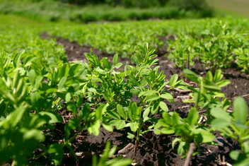 Our Story – Palouse Brand