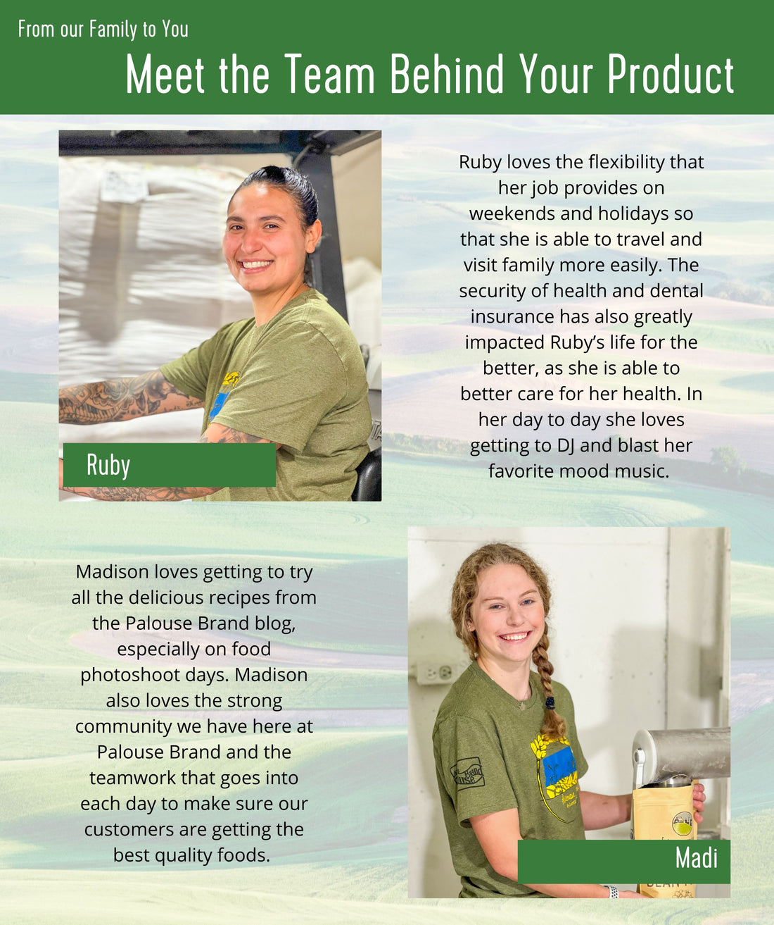 Lentil Pack 4 LBS Each: Red Lentils, Gold Lentils, Green Lentils ...